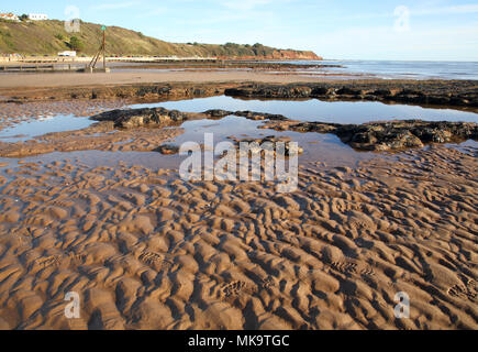 rock pools at exmouth on the south devon coast Stock Photo - Alamy