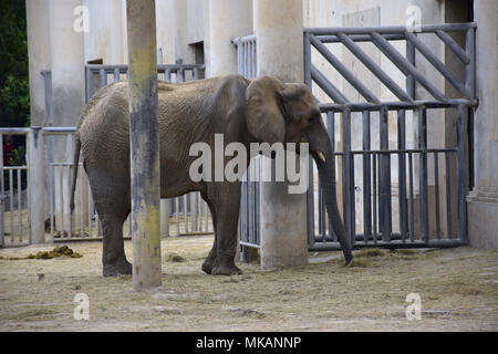Beijing, Beijing, China. 8th May, 2018. Beijing, CHINA-7th May 2018 ...