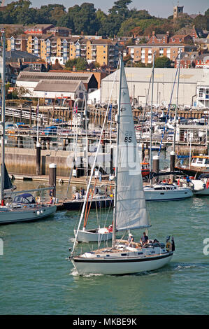 Cows, Yacht, Isle of Wight, Hampshire, Cows I Cows I of W England Stock ...