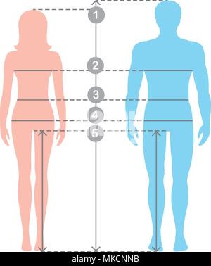 Body measurements isolated cartoon vector illustration. Family health ...