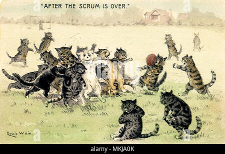 Cats playing football Stock Photo - Alamy