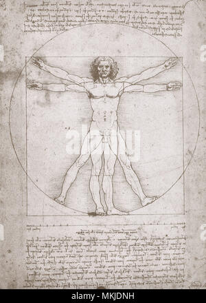 Leonardo Da Vinci - Proportions Human Figure Vitruvian Man 1492 Stock ...