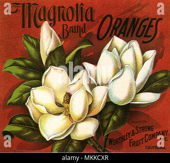 Magnolia Fruit Label Stock Photo - Alamy