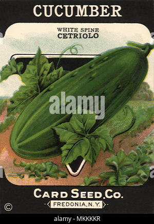Cucumber Seed Packet Stock Photo - Alamy