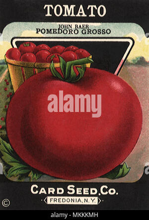 Tomato Seed Packet Stock Photo - Alamy