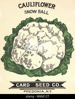 Cauliflower Seed Packet Stock Photo - Alamy