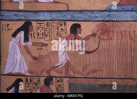 ANCIENT EGYPT FARMING Stock Photo - Alamy