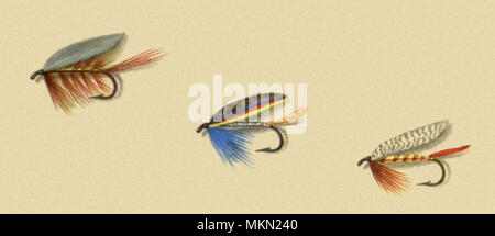 Three Fancy Flies Stock Photo - Alamy