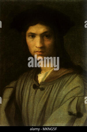 Self-portrait of Andrea del Sarto, Sarto, Andrea del, 1529 Stock Photo ...