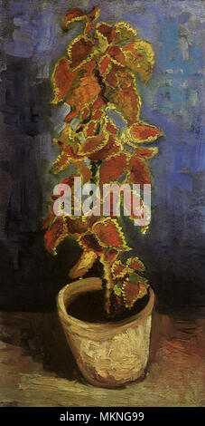 Vincent van Gogh: Coleus Plant in a Flowerpot. 1886. Oil on canvas. Van ...