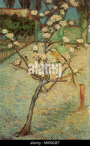 Vincent van Gogh – Blossoming Pear Tree 1888 Stock Photo - Alamy