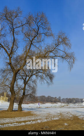 Natural park at winter in Harbin, North of China Stock Photo - Alamy