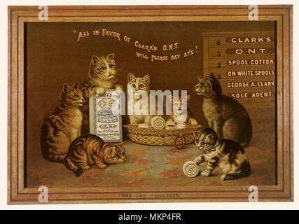 The Cat Congress Stock Photo - Alamy