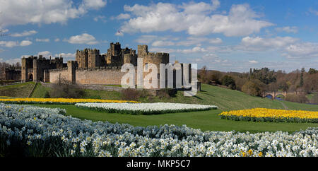spring at the castle Stock Photo - Alamy