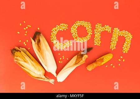 Concept of the word corn in english language formed with dry corn seeds ...