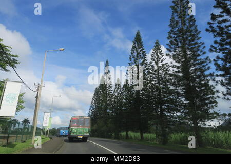 Interesting nature on Mauritius island, asphalt road, greenery Stock ...