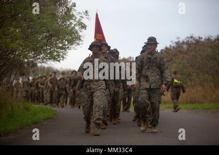Sgt. Maj. Phillip Billiot, the Headquarters Battalion sergeant major ...