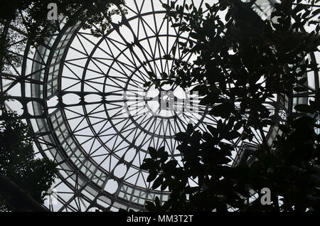 Rainforest greenhouse Dome in Taichung’s Botanical Garden Stock Photo ...