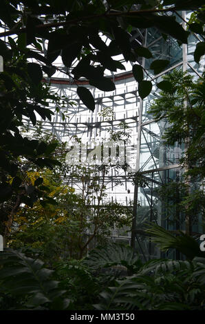 Rainforest greenhouse Dome in Taichung’s Botanical Garden Stock Photo ...