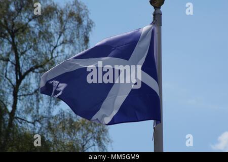 Flag of Scotland (Saltire) flying on waterfront, Invergordon, Highland ...