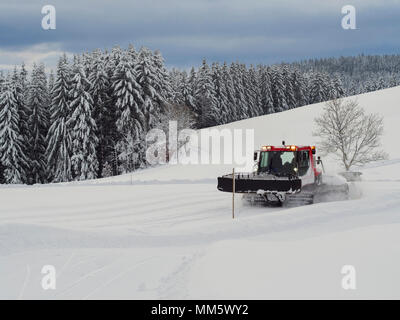 Track-setter preparing ski track Thurnerspur in the Black Forest near ...