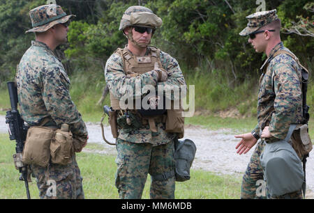 LT. Col. Jacob Q. Robinson, Commanding Officer of Combat Assault ...