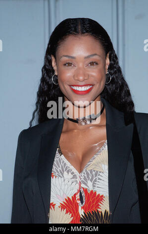Tami Anderson arriving at the 2001 Divine Design at the Barker Hangar ...