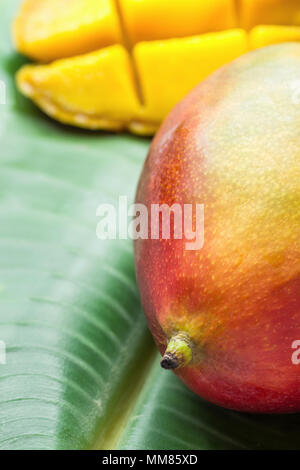 Juicy yellow mango cubes with whole mangoes on a green table background ...