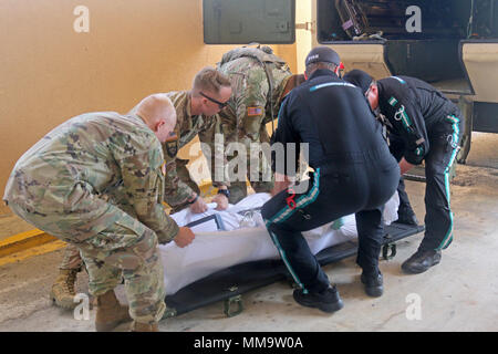 Flight medics from MedCenter Air and medics assigned to the 602nd Area ...