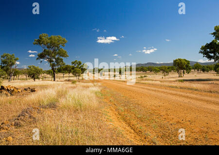 Colourful Australian outback landscape with golden spinifex grass ...