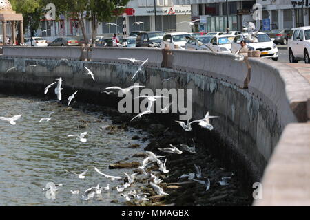 The Al Lawati mosque and the Mutrah corniche and waterfront in Muscat ...