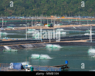 Commercial aquaculture Prawn Farm - Coastal development near Mission ...