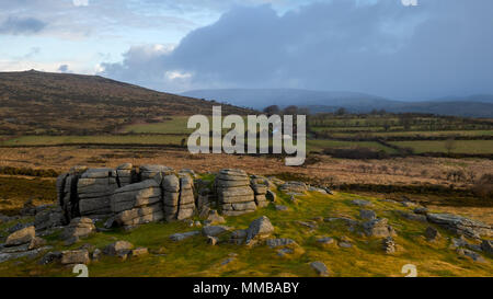 Dartmoor ponies on Sharp Tor. Dartmoor National Park, Devon, England ...
