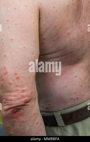 Everglades, United States of America - April 27, 2019: Stand with plan ...