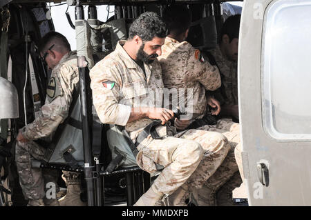 UDARI, Kuwait – A UH-60M Black Hawk from the 29th Combat Aviation ...