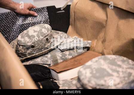 Nelson Delgado, Joint Personal Effects Depot operations management ...