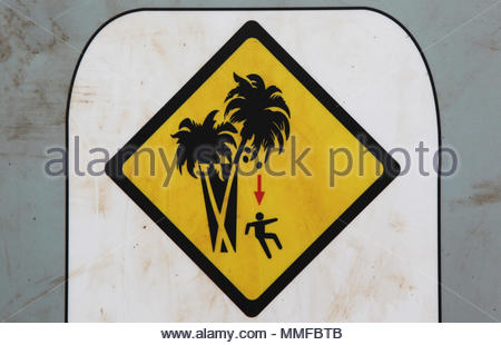 Sign warning about falling coconuts on palm tree in Hale Halewai Park ...