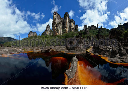 Rock Pools Roraima Venezuela Stock Photo: 9973476 - Alamy