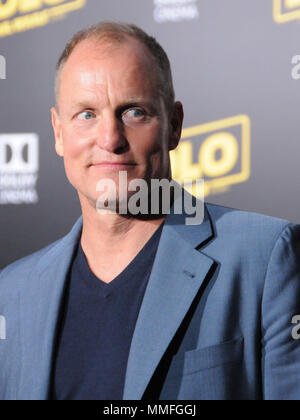 Actor Woody Harrelson attends the premiere of Focus Features ...
