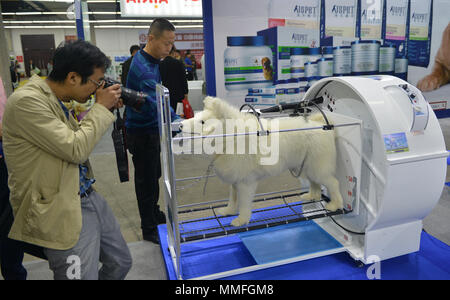 Shenyan, Shenyan, China. 10th May, 2018. Shenyang, CHINA-10th May 2018 ...