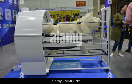 Shenyan, Shenyan, China. 10th May, 2018. Shenyang, CHINA-10th May 2018 ...