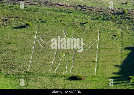 Long Man of Wilmington Chalk Figure Stock Photo: 208979785 - Alamy
