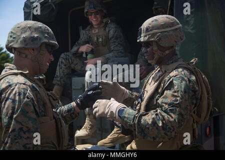 Lt. Col. Leroy B. Butler, the commanding officer of 3rd Battalion, 12th ...