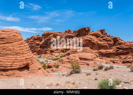 Beehive shaped red Aztec sandstone rock formations in the Valley of ...