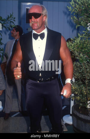 Hulk Hogan aka Terry Bollea poses for a photo with a fan at Los Angeles ...