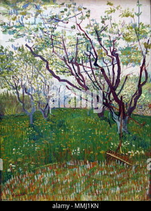 1888 van Gogh flowering orchard anagoria Stock Photo - Alamy