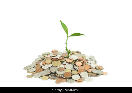 trees growing on coins Stock Photo - Alamy