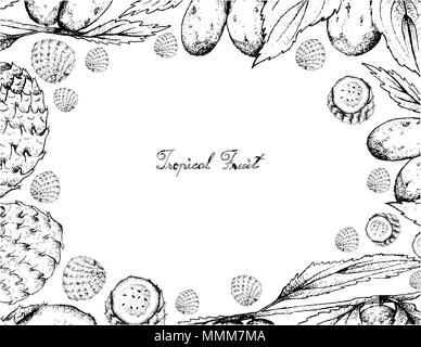 Copao, Eulychnia acida cactus fruit drawing in cute cartoon style ...