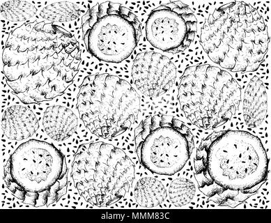 Copao, Eulychnia acida cactus fruit drawing in cute cartoon style ...