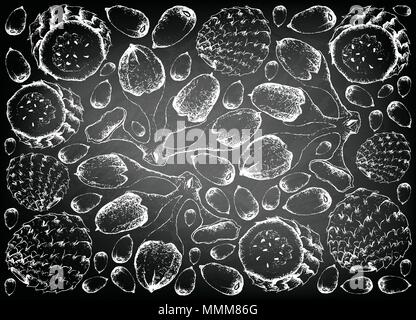 Copao, Eulychnia acida cactus fruit drawing in cute cartoon style ...